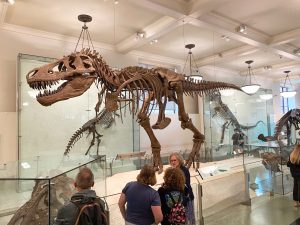 Musea in New York: de 10 mooiste en leukste musea